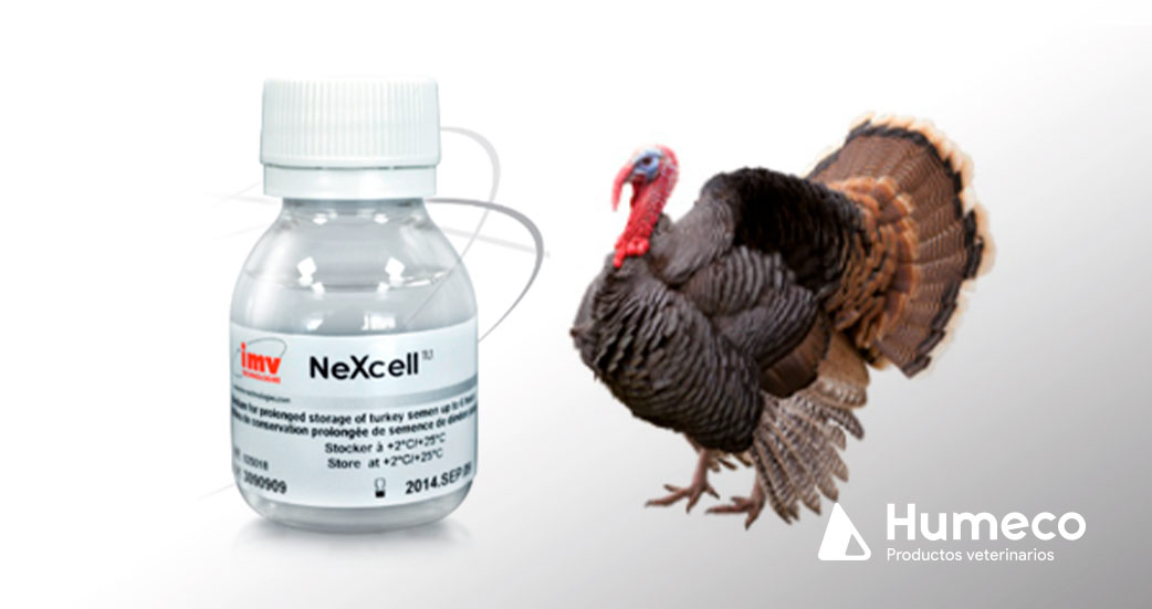 nexcell-pavos2199.jpg